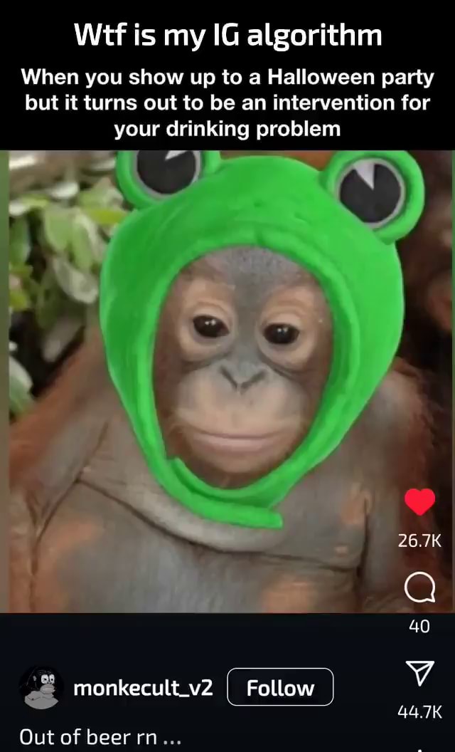 Is my IG algorithm When you show up to a Halloween party but it turns ...