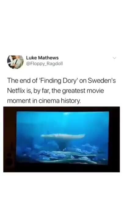 Luke Mathews The end of 'Finding Dory' on Sweden's Netflix is, by far ...