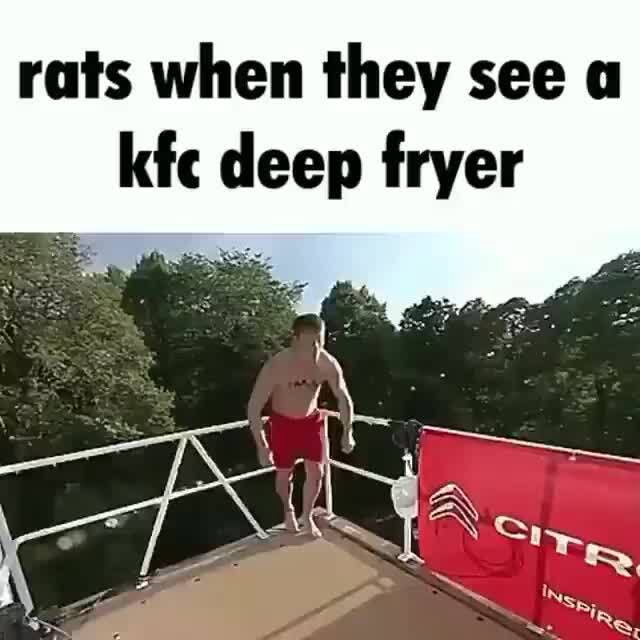 Rats when they see a kfc deep fryer - iFunny
