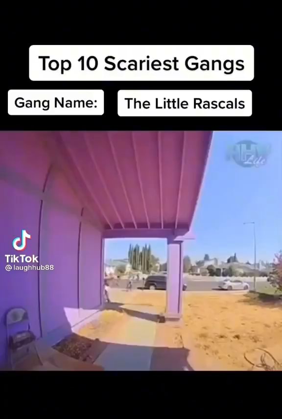 Top 10 Scariest Gangs The Little Rascals - iFunny