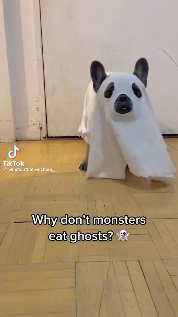 Sf Tik Tok Why don't monsters eat ghosts? - iFunny