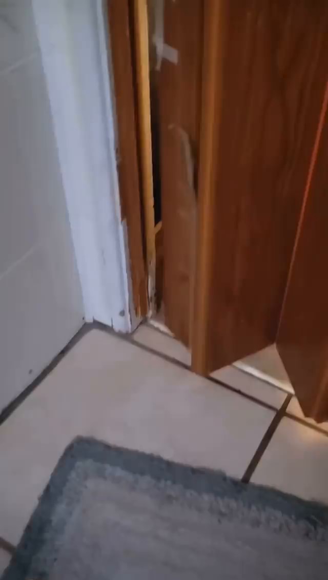 Video memes RvqQjNRFB by skaggs: 2 comments - iFunny