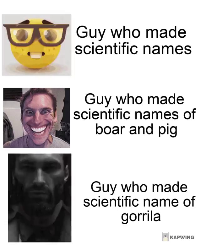 Guy who made scientific names Guy who made scientific names of boar and ...