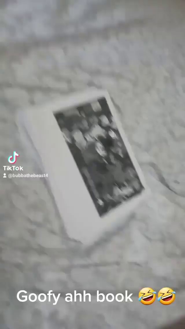 TikTOK SS Goofy ahh book - iFunny