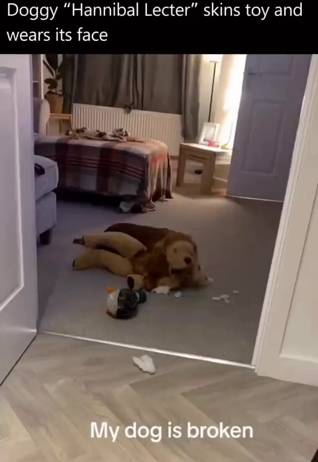 Doggy "Hannibal bal Lecter" skins toy and I wears its face I Vly dog is ...