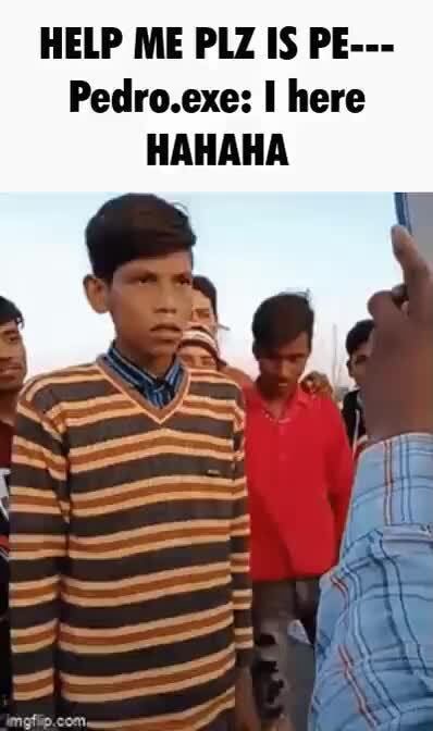 HELP ME PLZ IS PE--- Pedro.exe: here HAHAHA - iFunny