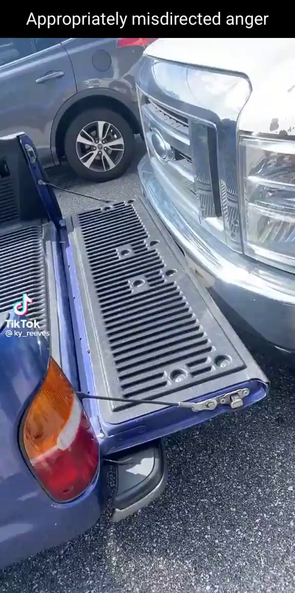 Appropriately misdirected anger TOK - iFunny