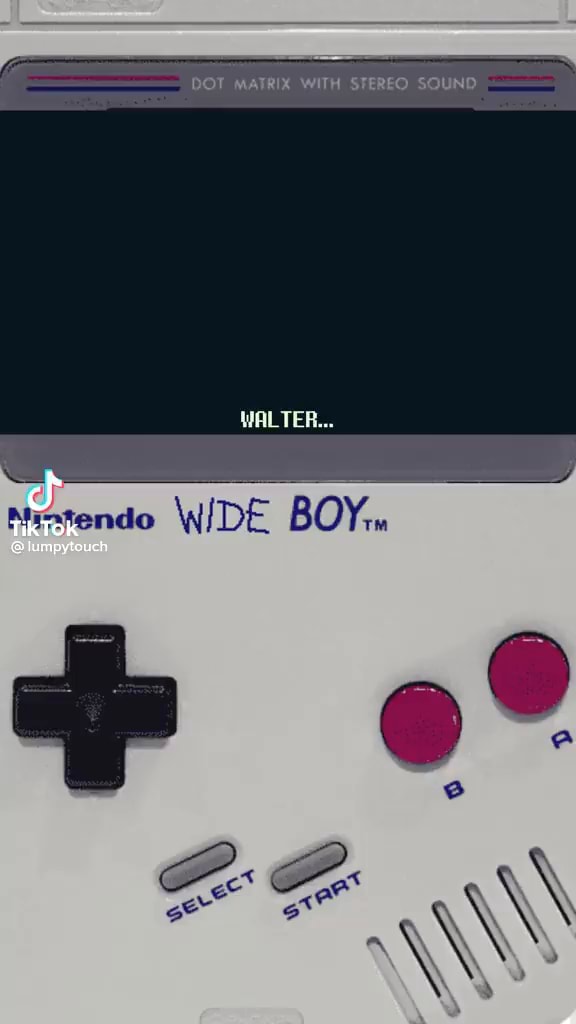 DOT MATRIX WITH STEREO SOUND WALTER... WIDE BOYn aa\\\ - iFunny