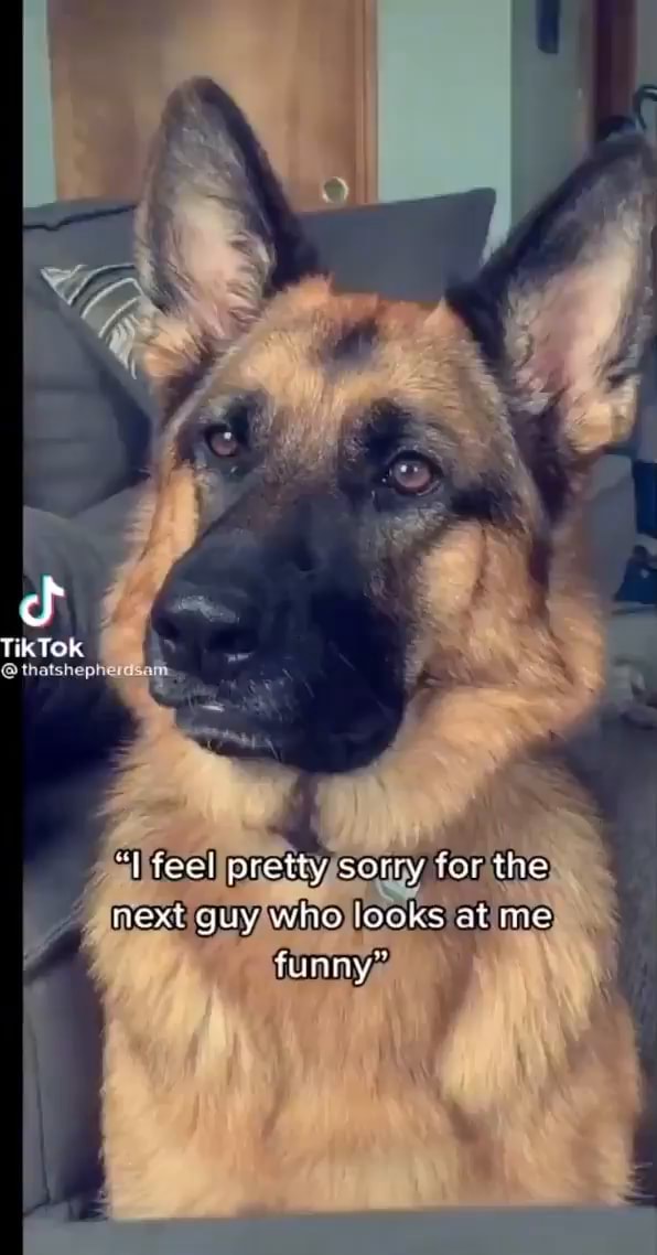 TiKTOK feel pretty sorry for the next guy who 'ooks atime funny" - iFunny