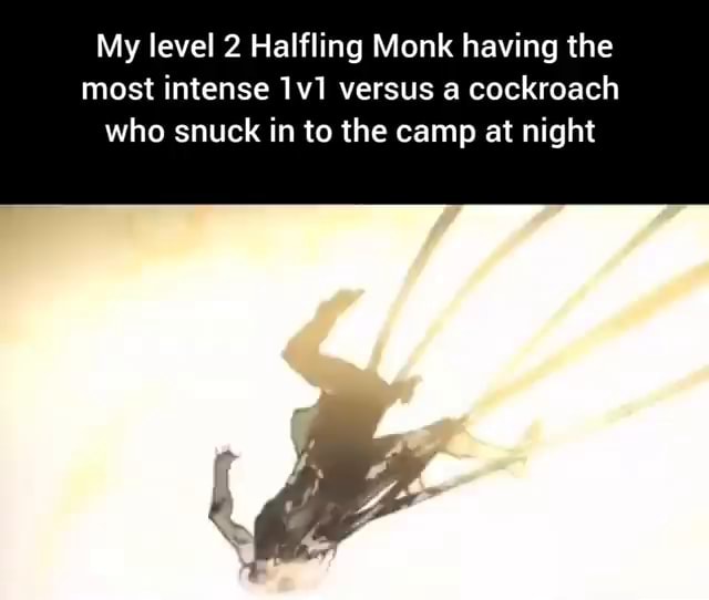 My level 2 Halfling Monk having the most intense versus a cockroach who ...