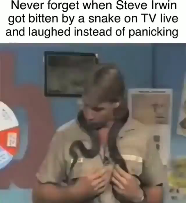 Never forget when Steve Irwin got bitten by a snake on TV live and ...