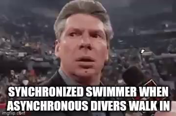 SYNCHRONIZED SWIMMER WHEN "ASYNCHRONOUS DIVERS WALK IN} - iFunny