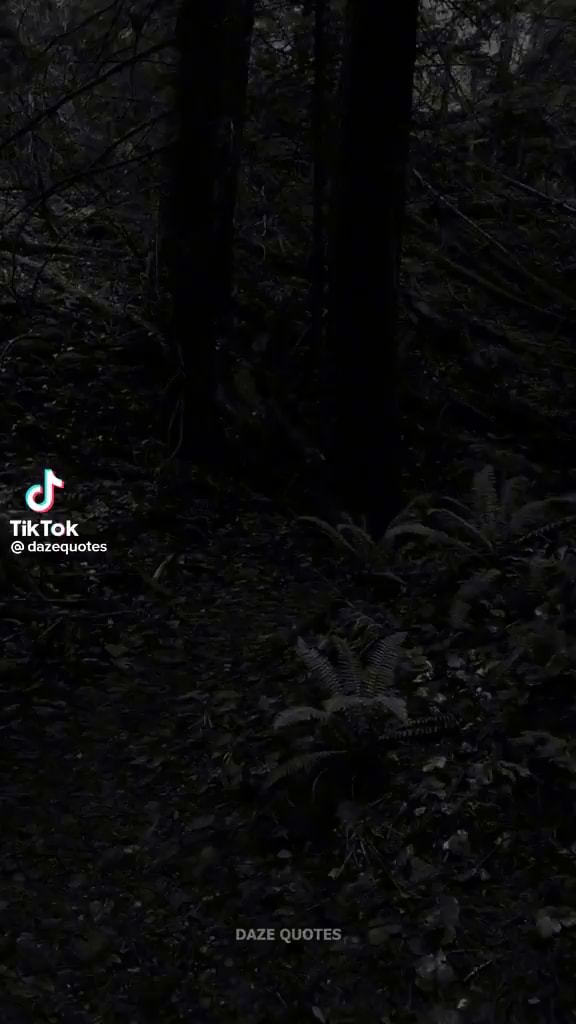 TikTok dazequotes DAZE QUOTES - iFunny