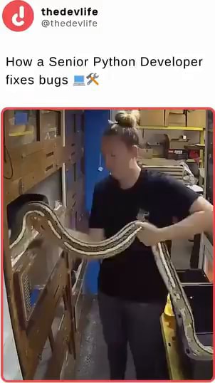 Thedevlife How a Senior Python Developer fixes bugs - iFunny
