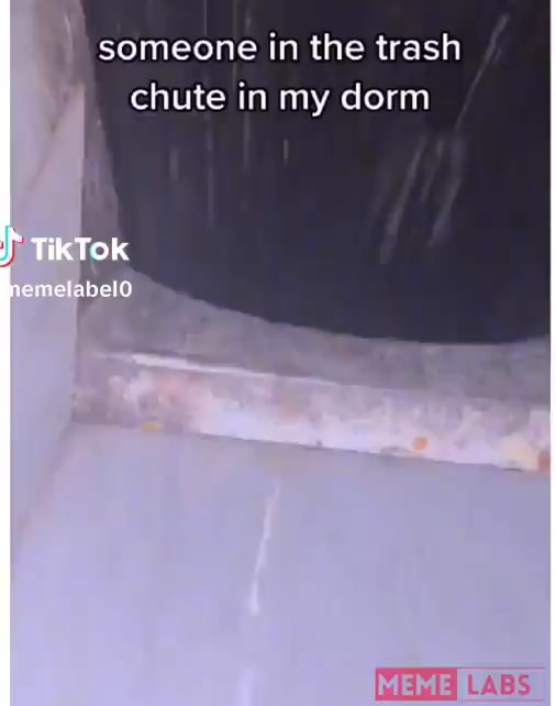 Someone in the trash chute in my dorm TikTok emelabeld - iFunny