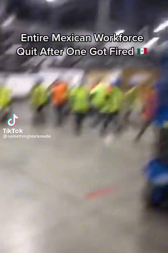 Entire Mexican Workforce Quit After One Got Fired 3 Sf TikTok ...