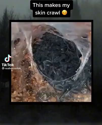 This makes my skin crawl I TikTok - iFunny