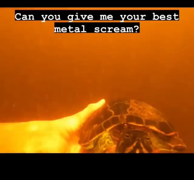 Can you give me your best metal scream? - iFunny
