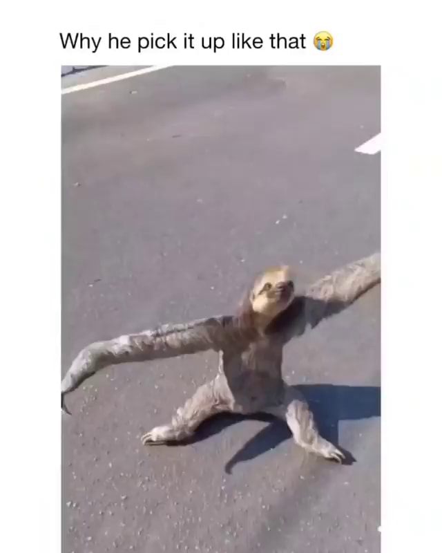 Why he pick it up like that - iFunny