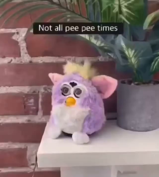 Not all pee pee times - iFunny