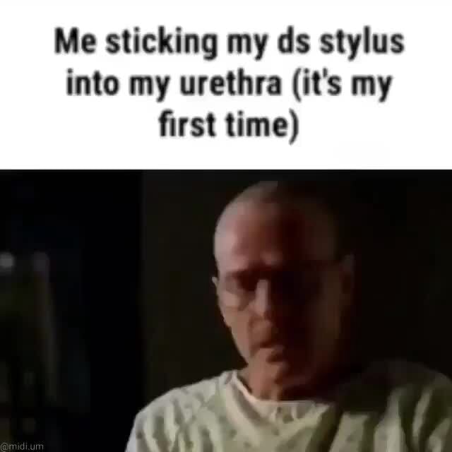 Me sticking my ds stylus into my urethra (it's my first time) - iFunny