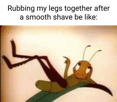 Rubbing my legs together after a smooth shave be like: - iFunny