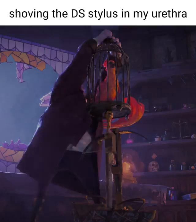 Shoving the DS stylus in my urethra - iFunny
