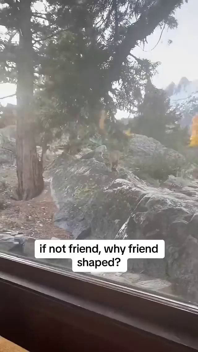 If not friend, why friend shaped? - iFunny