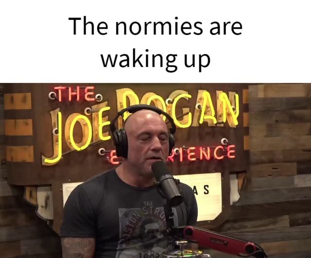 The normies are waking up joe - iFunny
