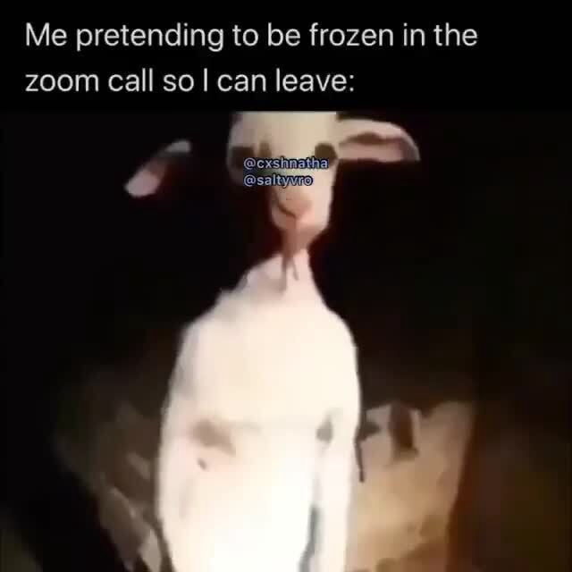 Me pretending to be frozen in the zoom call so I can leave: - iFunny