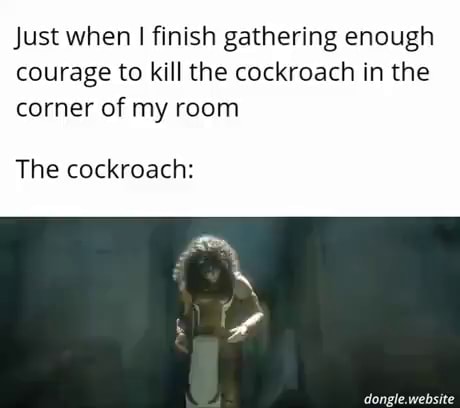 Just when finish gathering enough courage to kill the cockroach in the ...