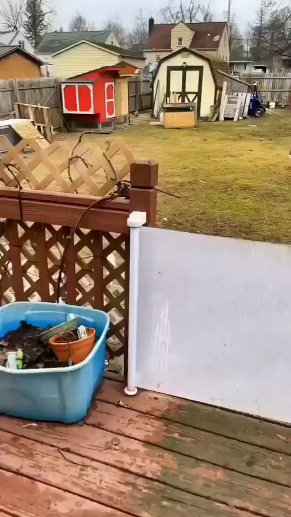 Video memes ihaJLXr2B by THE_PSYCHO_WOLF_: 148 comments - iFunny