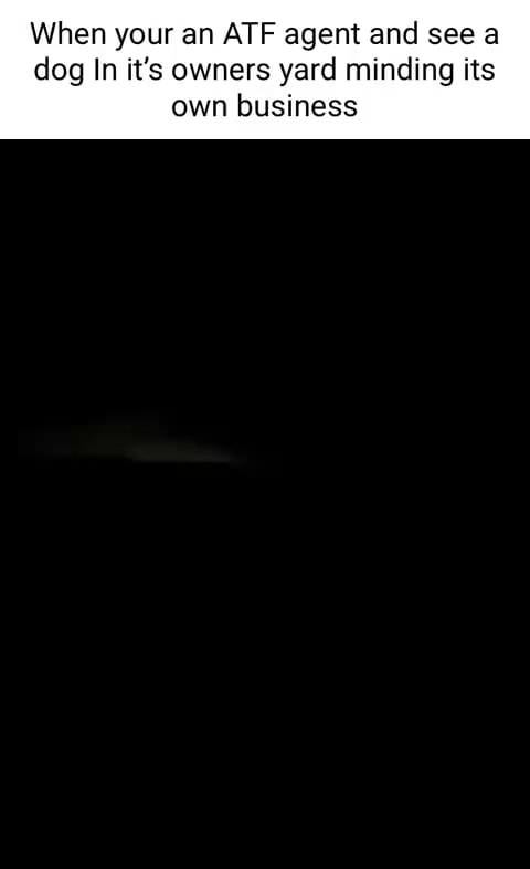 When your an ATF agent and see a dog In it's owners yard minding its ...