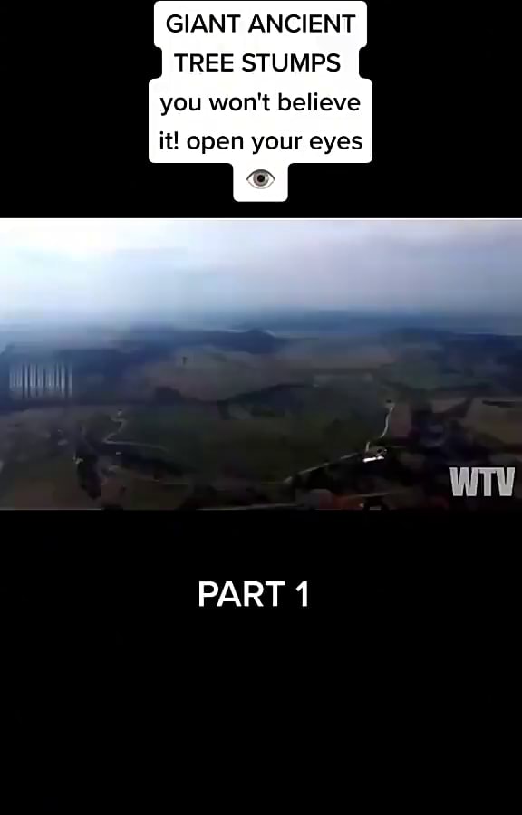 GIANT ANCIENT TREE STUMPS you won't believe it! open your eyes PART 1 ...