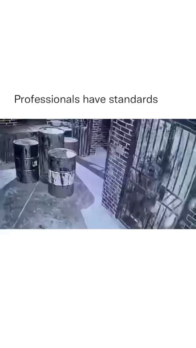 Professionals have standards - iFunny