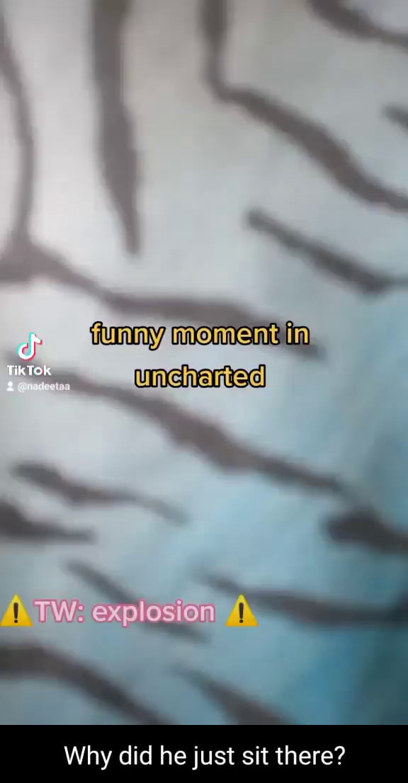 NS funny Tik Tok TW: explosion Why did he just sit there? - iFunny