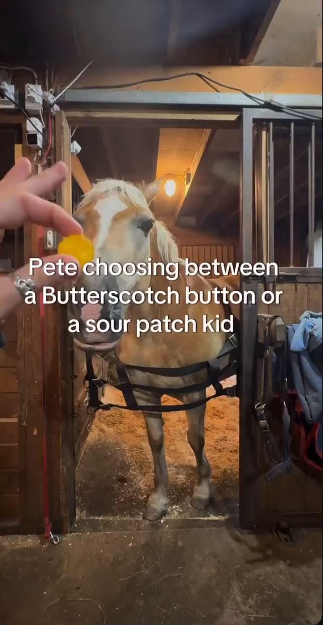 Pete choosing between a Butterscotch button or a sour patch kid - iFunny