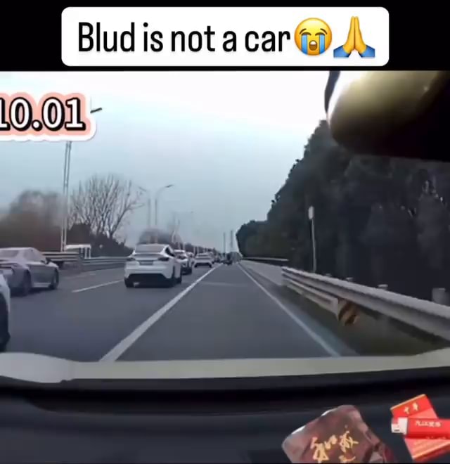 Blud is not acar - iFunny