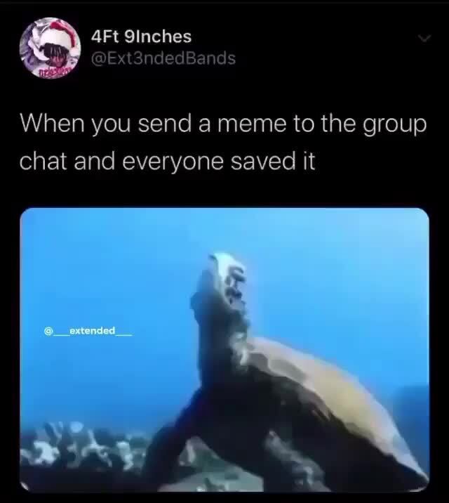 When you send a meme to the group chat and everyone saved it - iFunny
