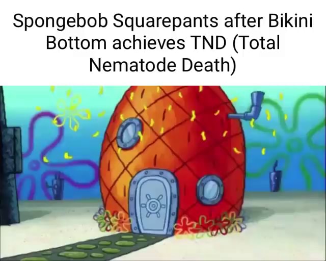 Spongebob Squarepants after Bikini Bottom achieves TND (Total Nematode ...
