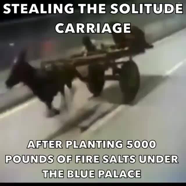 STEALING THE SOLITUDE CARRIAGE AFTER PLANTING 5000 POUNDS OF FIRE SALTS ...