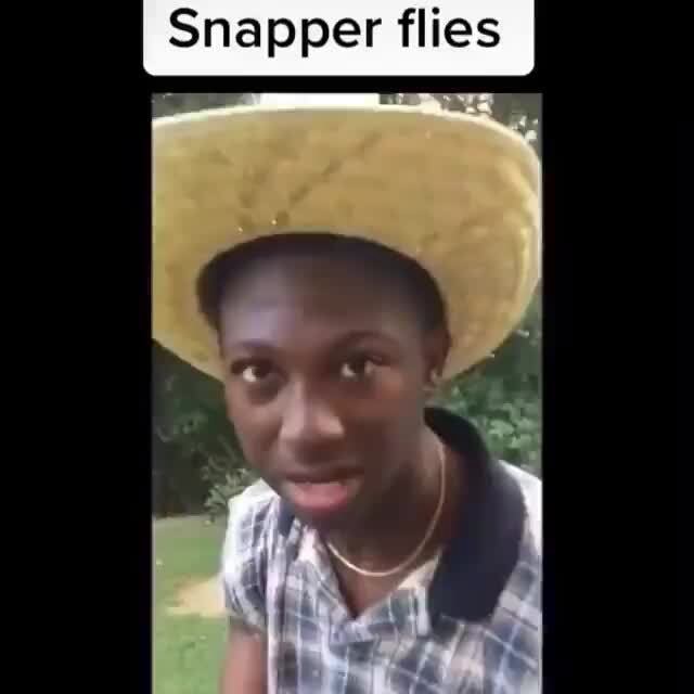 Snapper flies - iFunny