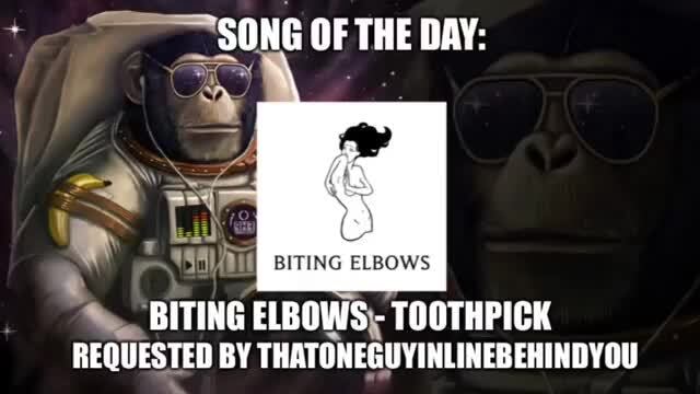 SONG OF THE DAY: BITING ELBOWS BITING ELBOWS - TOOTHPICK REQUESTED BY ...