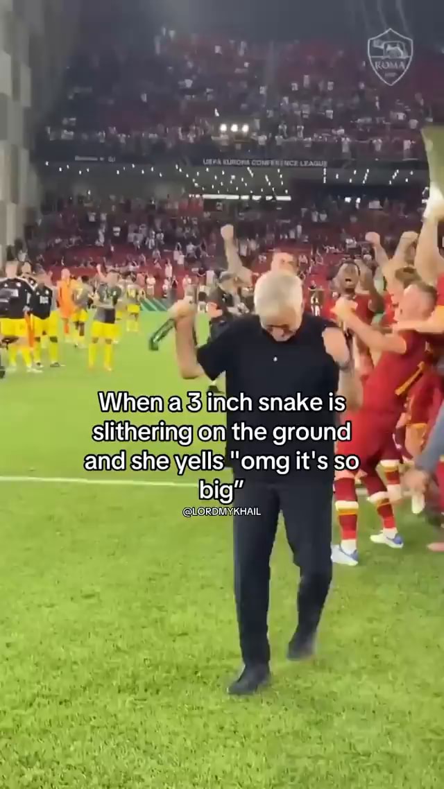 When a 3 inch snake is slithering on the ground and she yells "omg it's ...