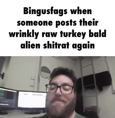 Bingusfags when someone posts their wrinkly raw turkey bald alien ...