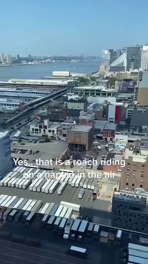 Just another day in New York City - that is aroach riding @napeiryin ...