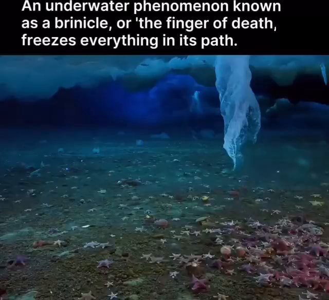 An underwater phenomenon known as a brinicle, or 'the finger of death ...