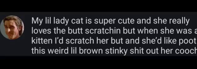 Loves the butt scratchin but when she was kitten I'd scratch her but ...