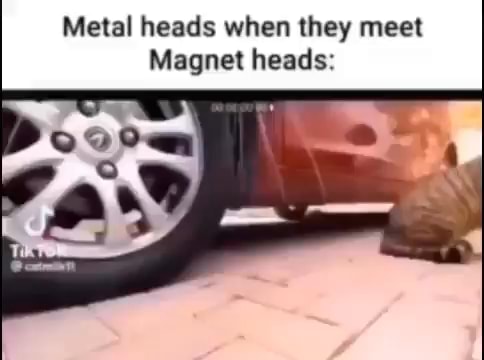 Metal heads when they meet Magnet heads: - iFunny