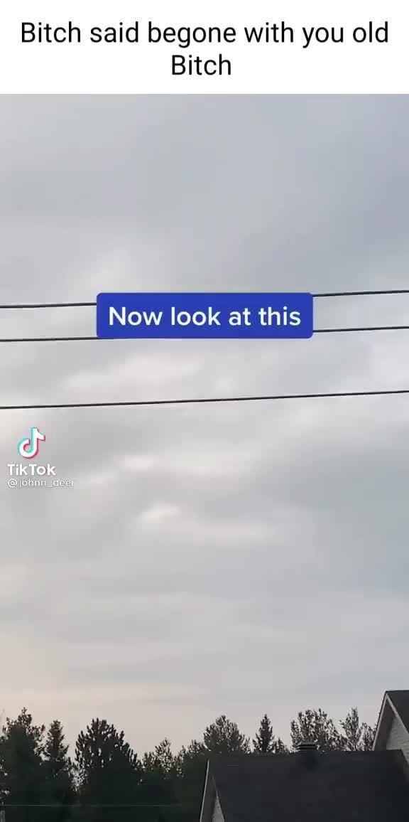 Bitch said begone with you old Bitch Now look at this TikTOK - iFunny
